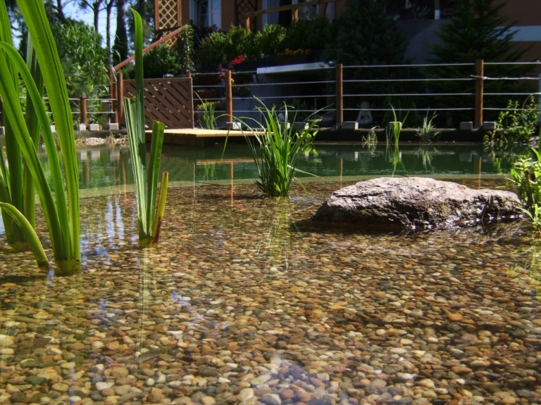 Schwimmteich bei Berlin - Mielke’s Naturbadeteich